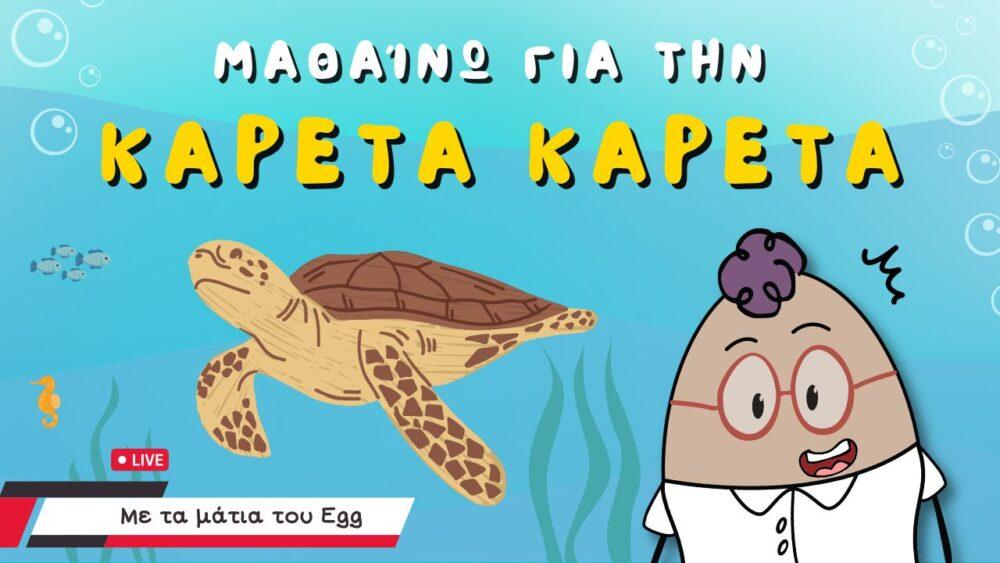 Μαθαίνω για τις χελώνες καρέτα καρέτα | 3 ΦΥΛΛΑ ΕΡΓΑΣΙΑΣ